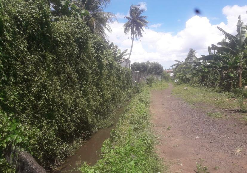 Area Kayu Antap di Tangsel Tak Layak Disebut Situ - Fakta Hukum Indonesia